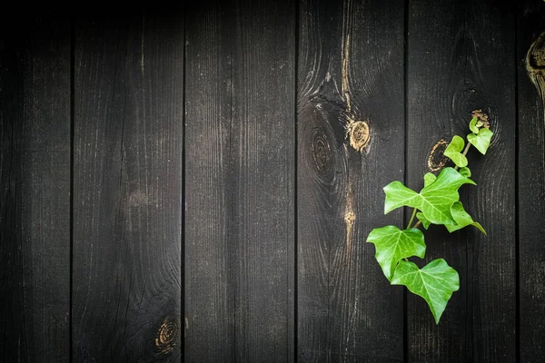 Tekstur meja kayu. Tembok permukaan papan kayu untuk wallpaper grunge ...