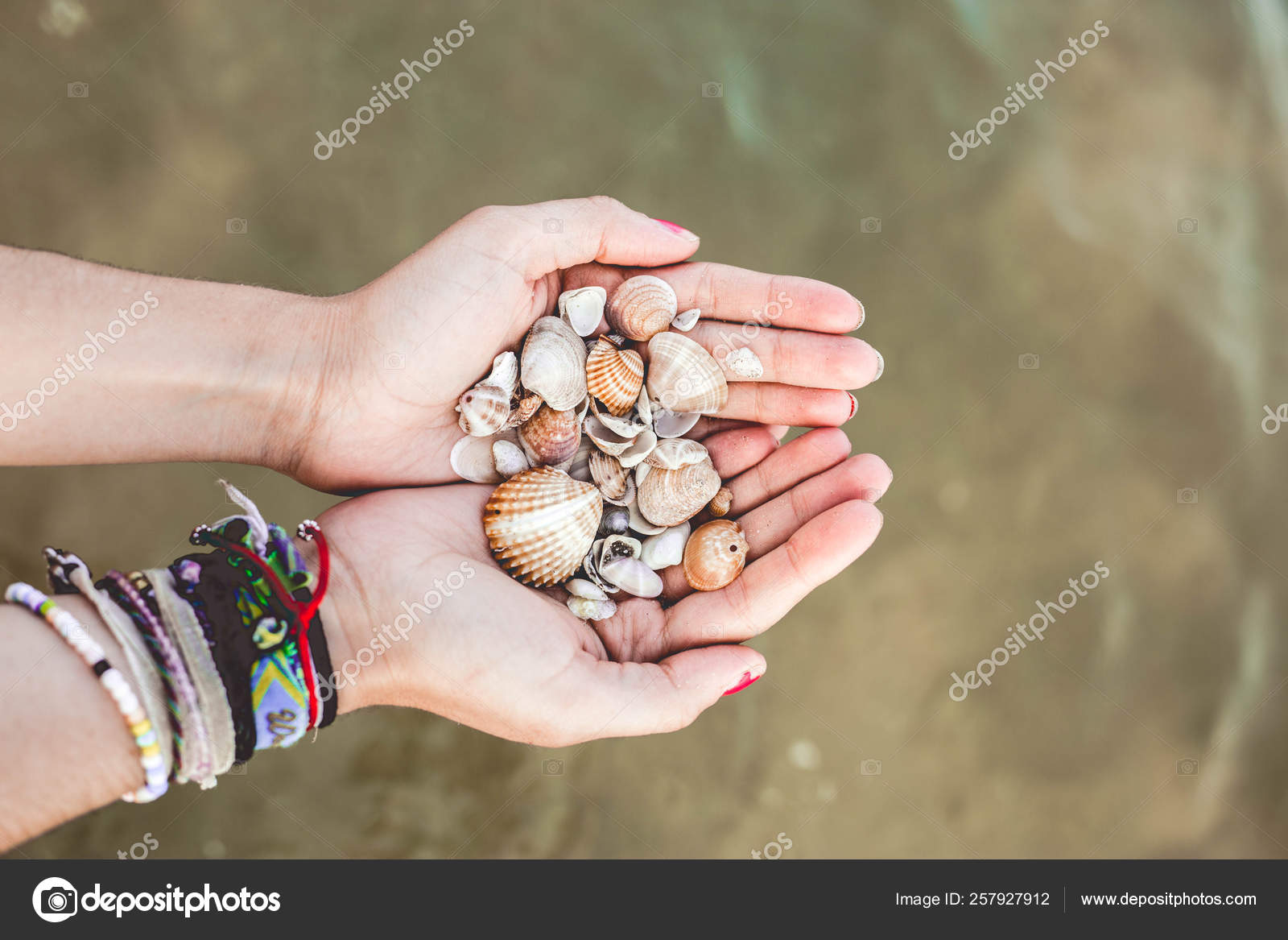 Hands holding shells caught from the sea Stock Photo by ©ElenaHelade ...
