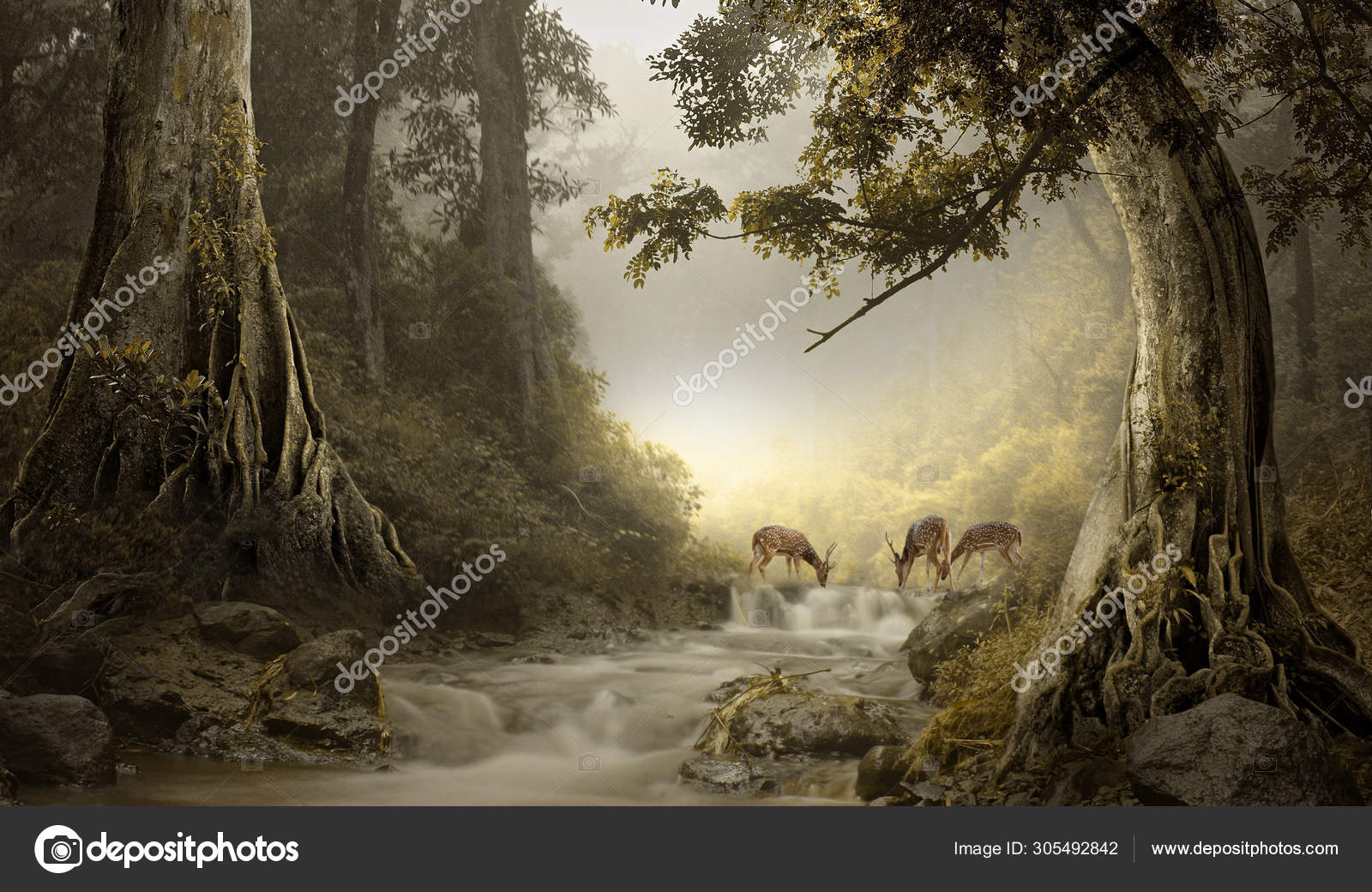 Beautiful Deer Forest Natural Background Stock Photo by ©budi.ccline ...