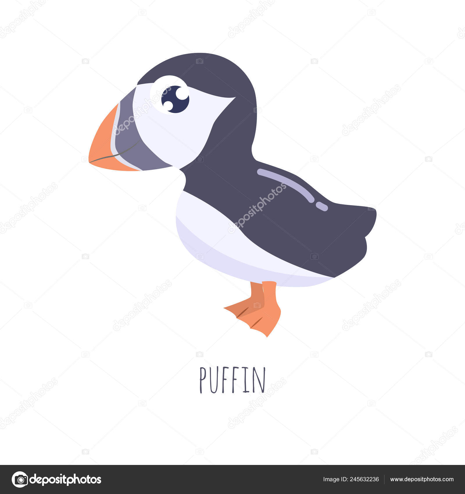 Bonito Desenho Animado Puffin Vetor Ilustração imagem vetorial de ...