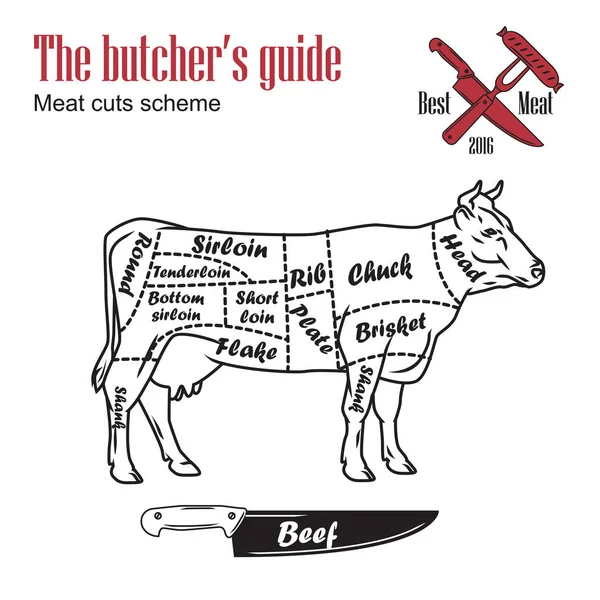 Vintage hand drawn butcher cuts of beef scheme — Stock Vector © ivan ...