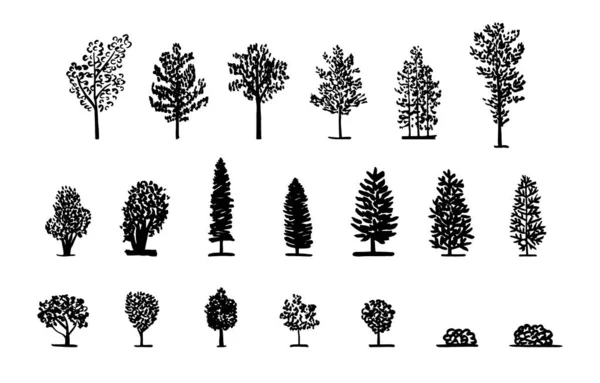 Vector Set Aspen Tree Isolated White Background Poplar Tree Doodle Stock Vector Image by ...