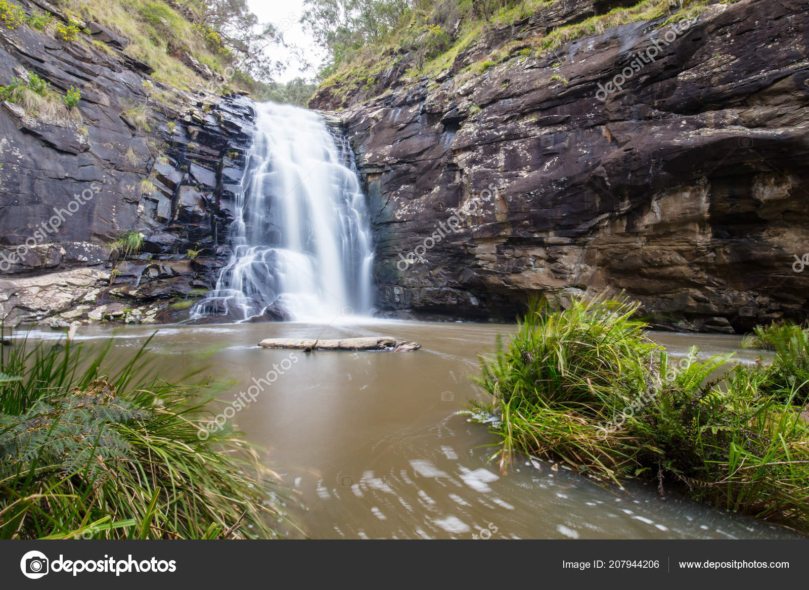 Sheoak Falls Cape Otway Stock Photo by ©filedimage 207944206