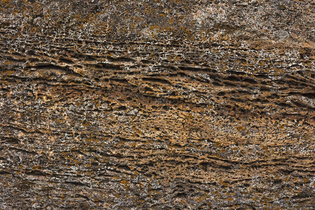 Hermoso fondo natural concha natural de roca de primer plano ...