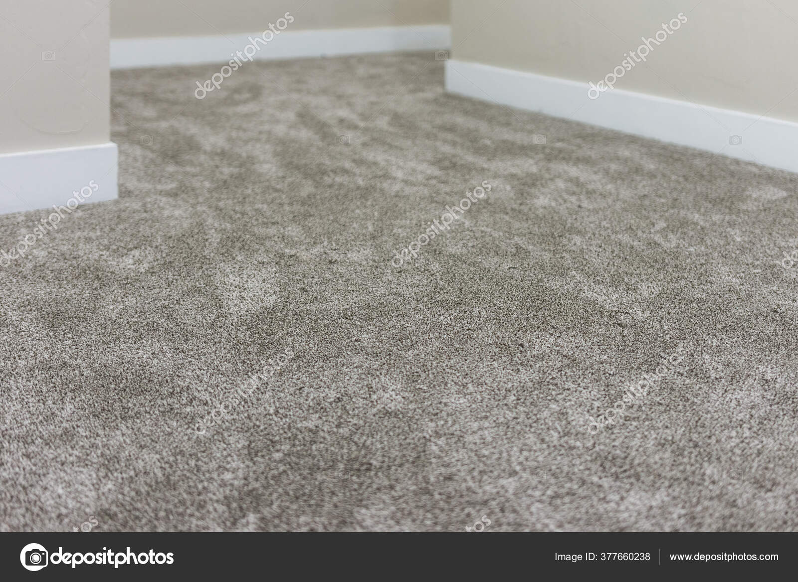Neutral Carpet