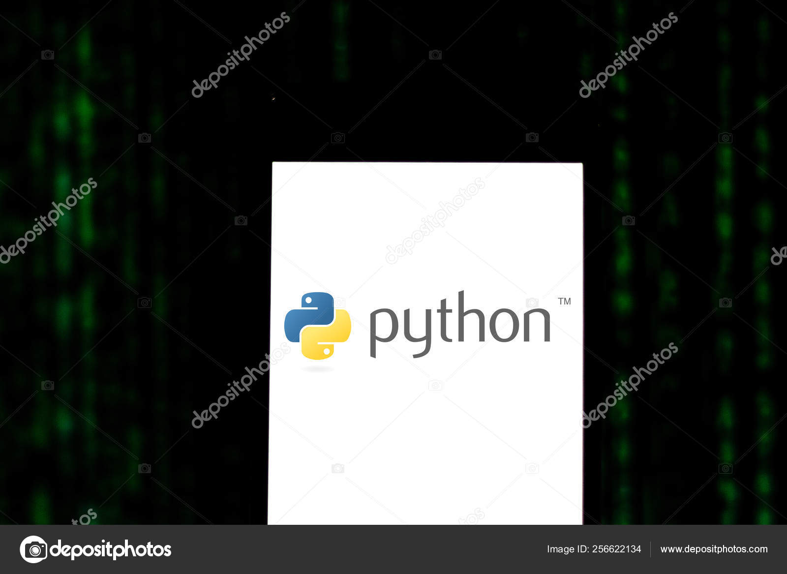 April 2019 Brazil Python Logo Your Mobile Device Python High — Stock ...