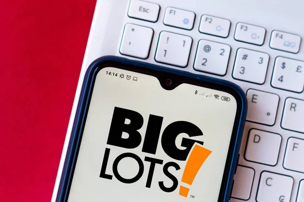 Big Lots Logo Vector