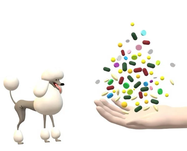 Veterinarian pill animal Stock Photos, Royalty Free Veterinarian pill ...