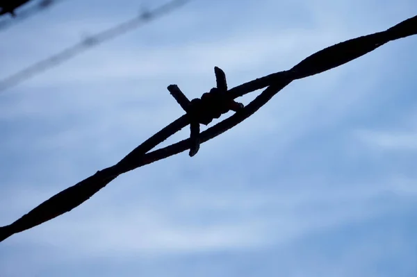 Barbed wire feet Stock Photos, Royalty Free Barbed wire feet Images ...