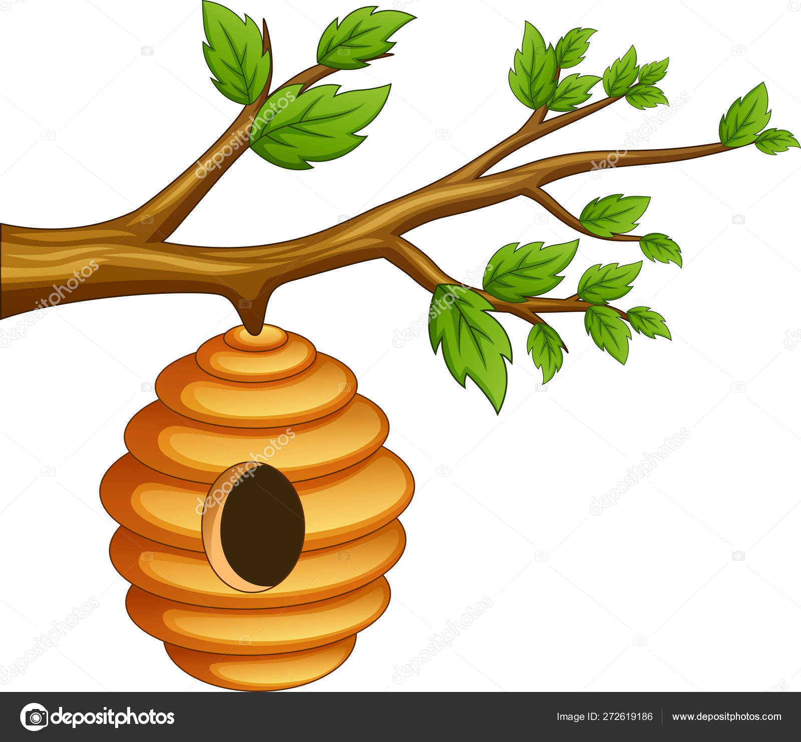 Maskot Lebah Dengan Dua Sisi Yang Berbeda Ilustrasi Vektor Vektor Stok ...