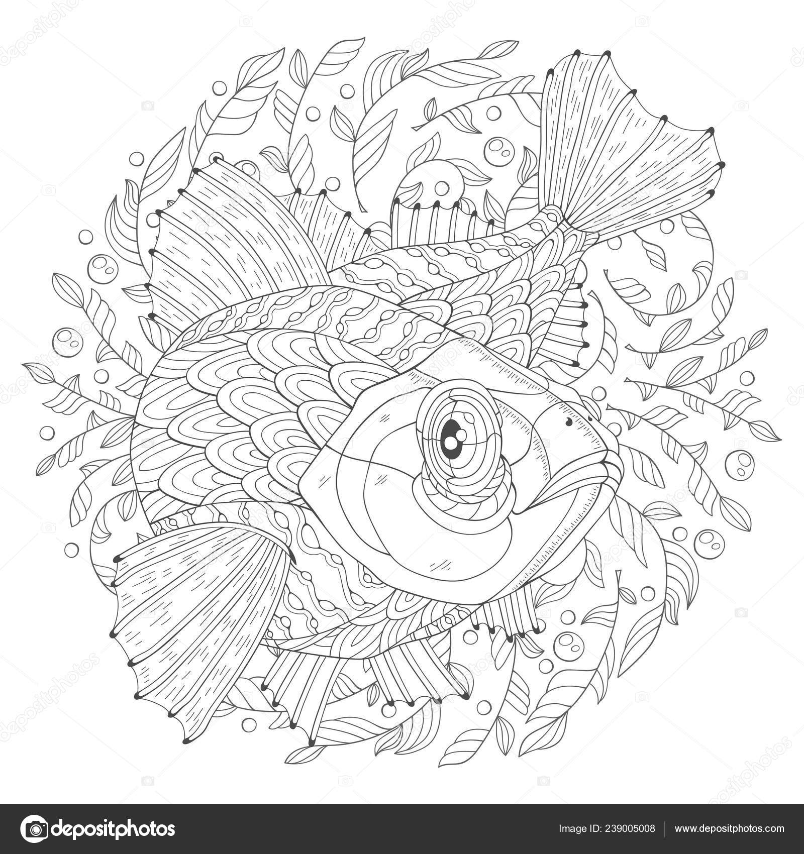 Hand Drawn Cartoon Perch White Background Image Adult Children Coloring ...