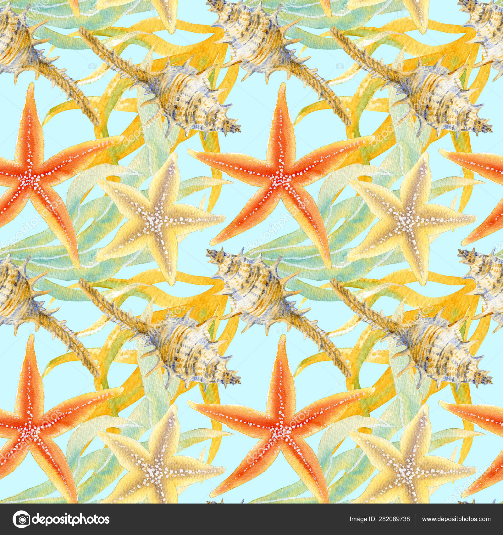 Marine Seamless Patern Sea Shells Starfishes Watercolor Illustration ...