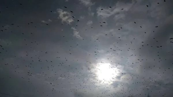 Fighting sky Stock Photos, Royalty Free Fighting sky Images | Depositphotos