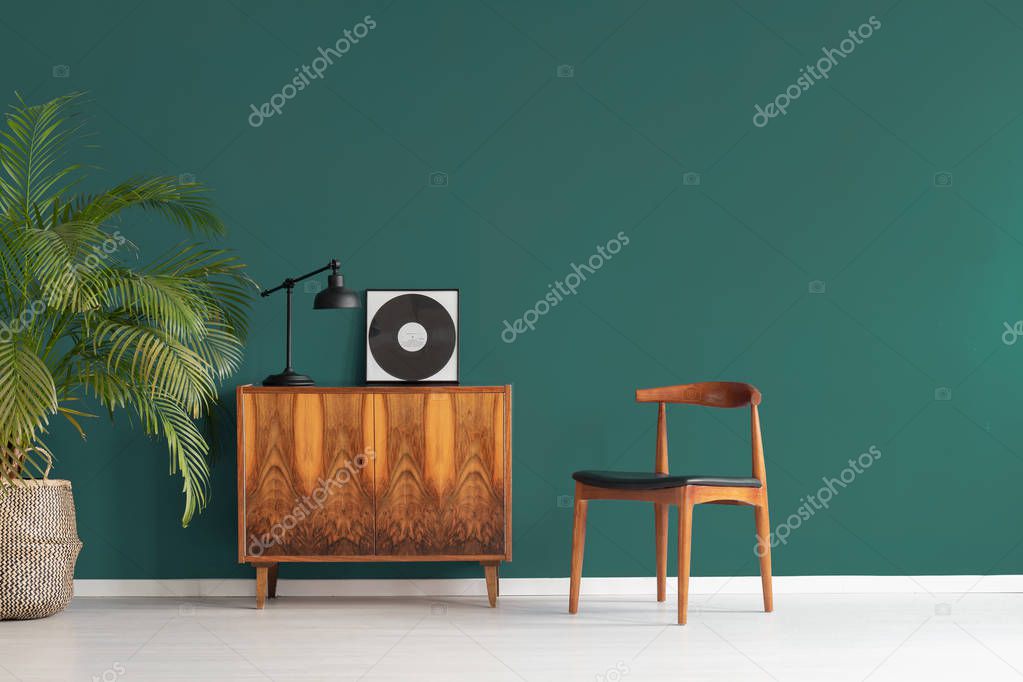 Pared verde pino en interior escandinavo mínimo con planta en maceta de ...