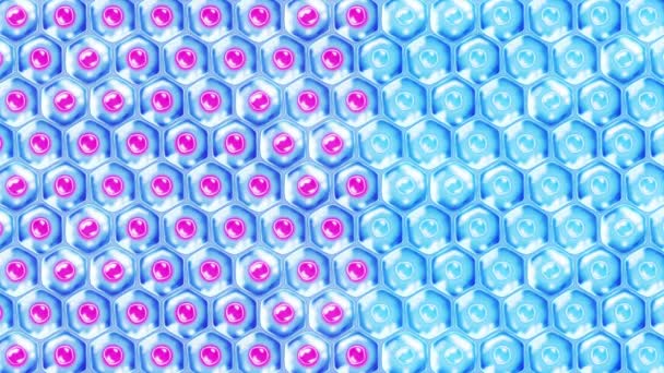 Human Skin Cells Each Cell Membrane Cellular Therapy Disease Treatment ...