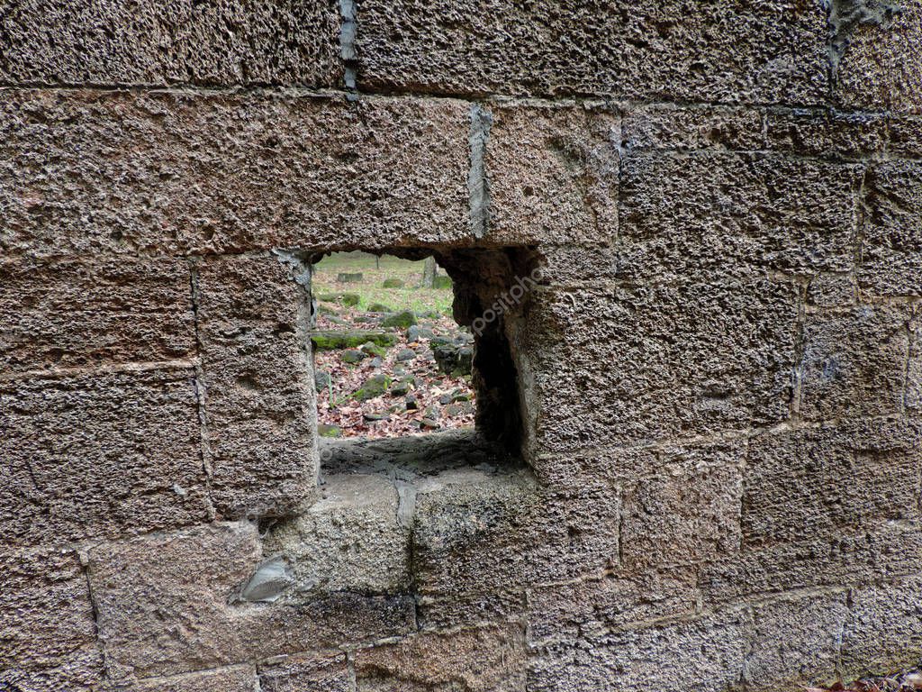 Bulow Plantation Ruins Historic State Park cerca de Daytona Monumento ...