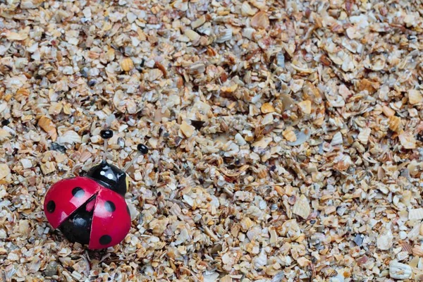 Les coccinelles images libres de droit, photos de Les coccinelles ...