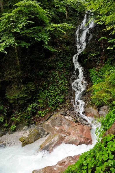 Fast water stream in mountain river in the forest. Large and small ...