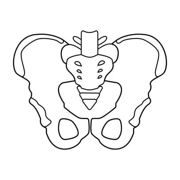 Pelvis Coloring Page Coloring Pages