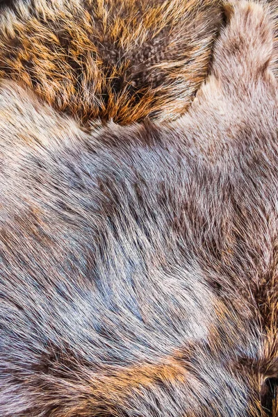 Fur background Images - Search Images on Everypixel