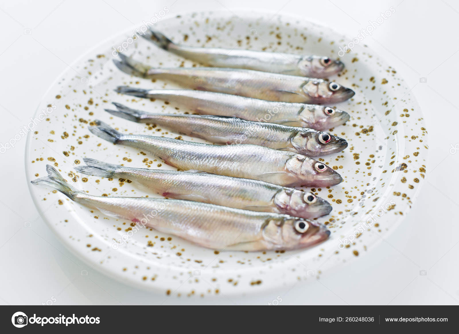 Raw smelt on a plate. White background, top view, space for text ...