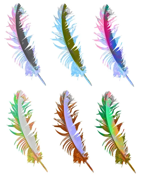 Types plumes images libres de droit, photos de Types plumes | Depositphotos
