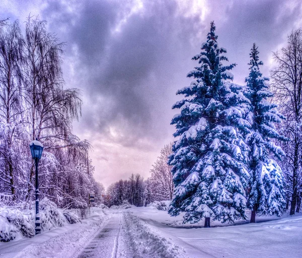 Beautiful december scenery Stock Photos, Royalty Free Beautiful ...