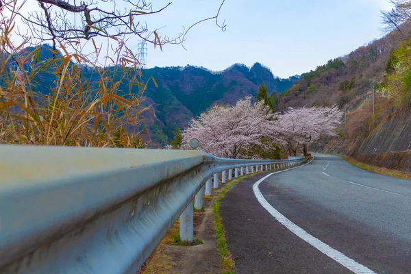 Japanese mountain road Stock Photos, Royalty Free Japanese mountain ...