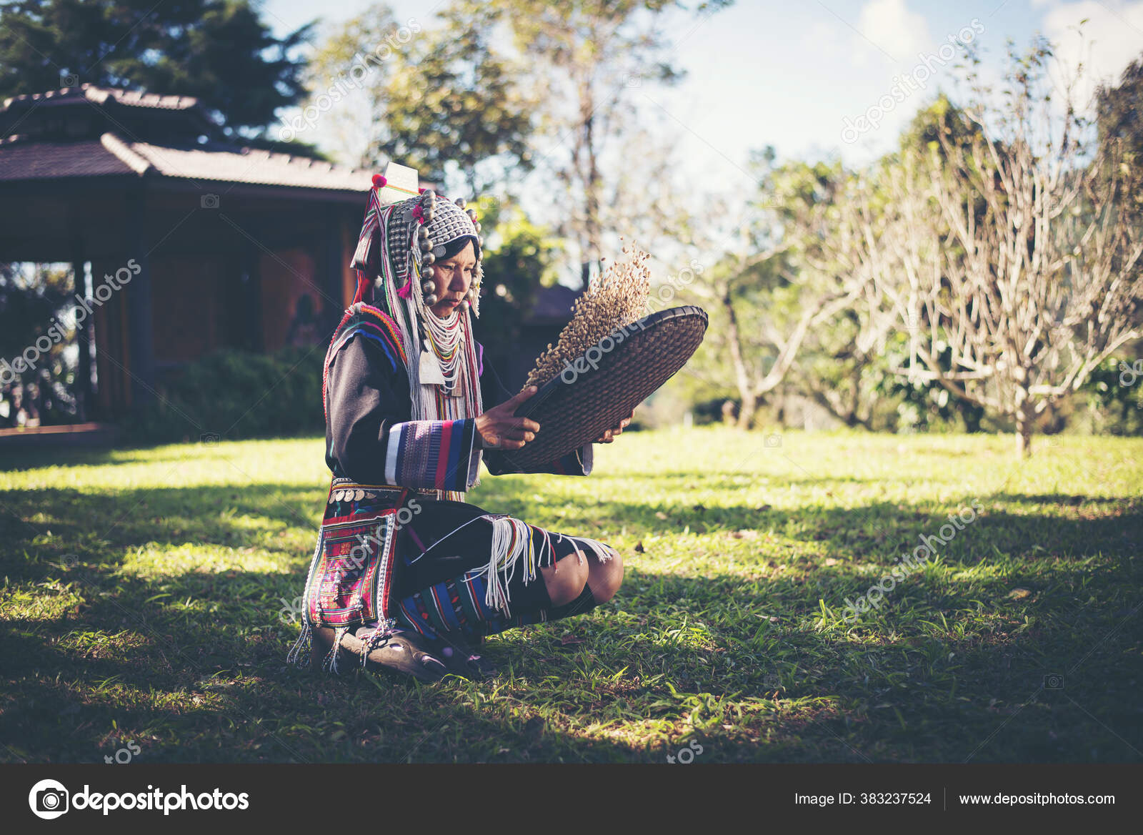Akha Using Winnowing Basket Separating Arabica Coffee Shell Akha North ...