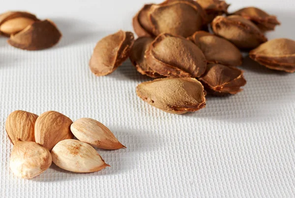 Apricot Kernel Bag Split Kernels Apricot Kernels Stock Photo by ©gadzik ...