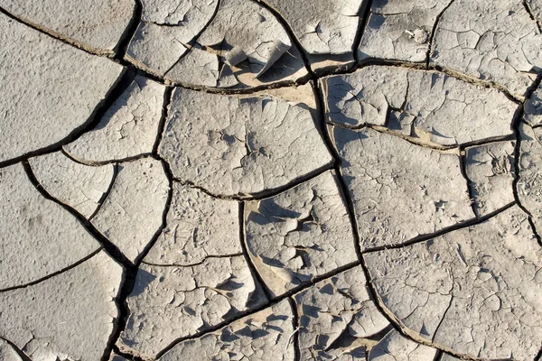 drought makes the ground interesting things / texture of cracked earth ...