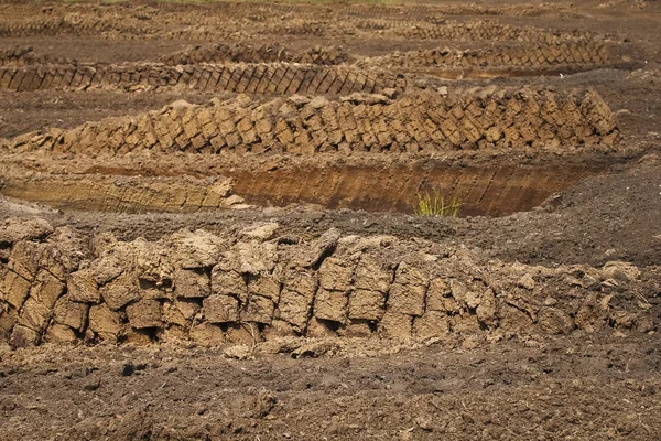 Peat cutting Stock Photos, Royalty Free Peat cutting Images | Depositphotos