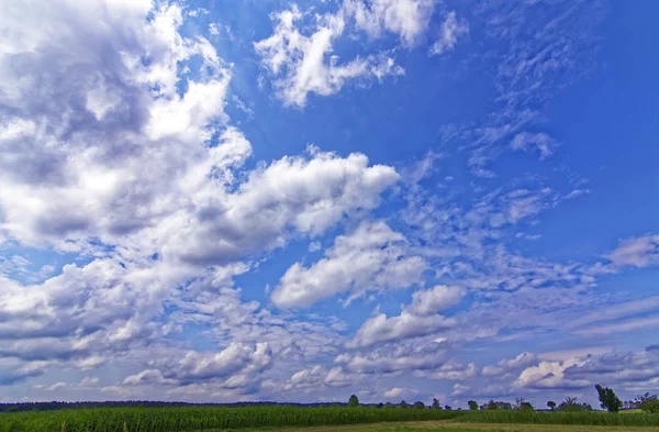 Field and clouds Stock Photos, Royalty Free Field and clouds Images ...