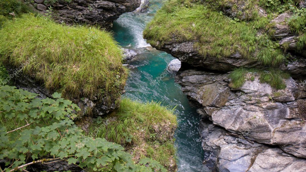río azul cristalino con botánico a orillas del río 2023