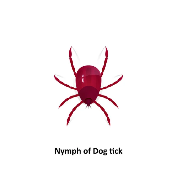Dog tick Stock Vectors, Royalty Free Dog tick Illustrations ...