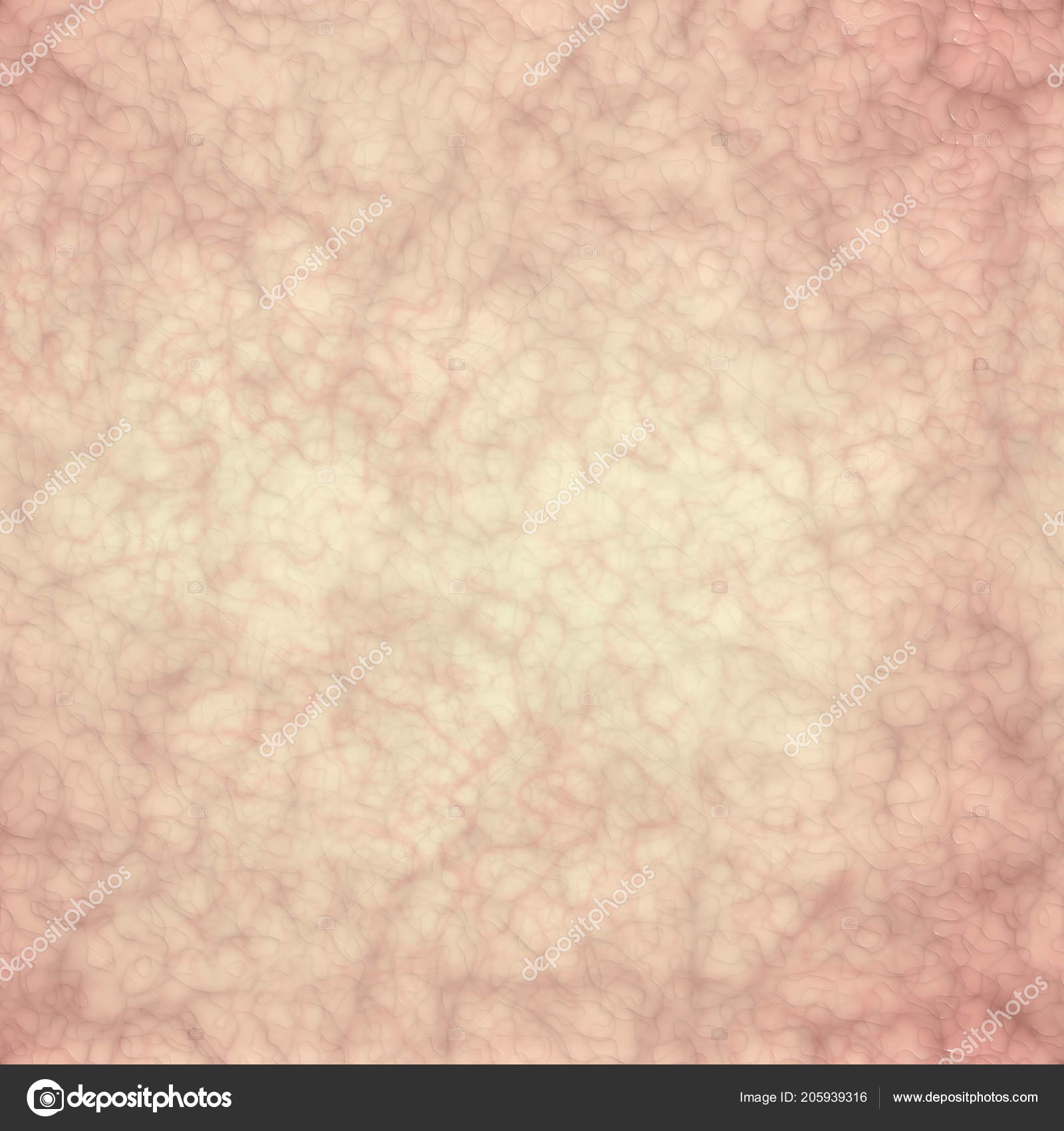 Section Skin Texture Skin Human Body Anatomy Rendering — Stock Photo ...