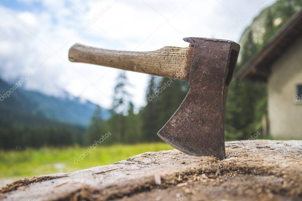 El primer plano del hacha vieja unida a un tronco de árbol, campo 2023
