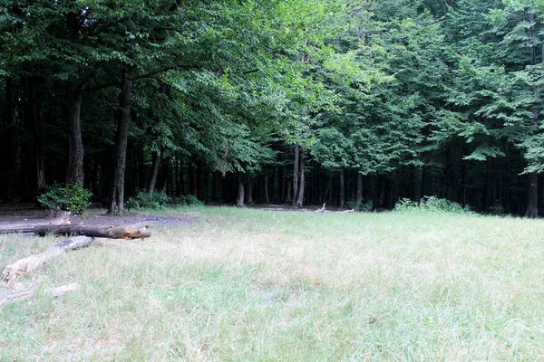 Walking ranges Stock Photos, Royalty Free Walking ranges Images ...