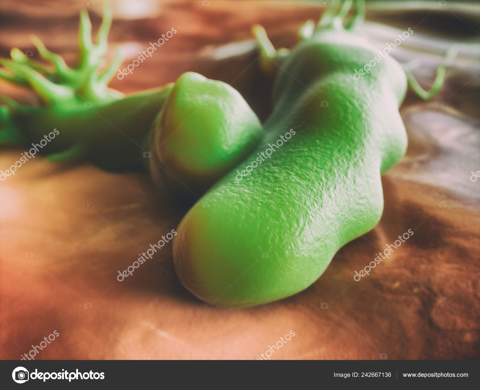 Campylobacter Jejuni Scanning Electron Microscope Rendering Stock Photo ...