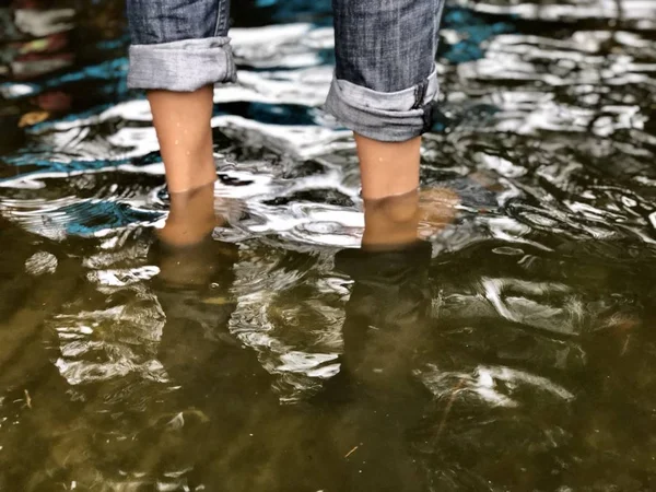 Leptospirosis fotos de stock, imágenes de Leptospirosis sin royalties ...