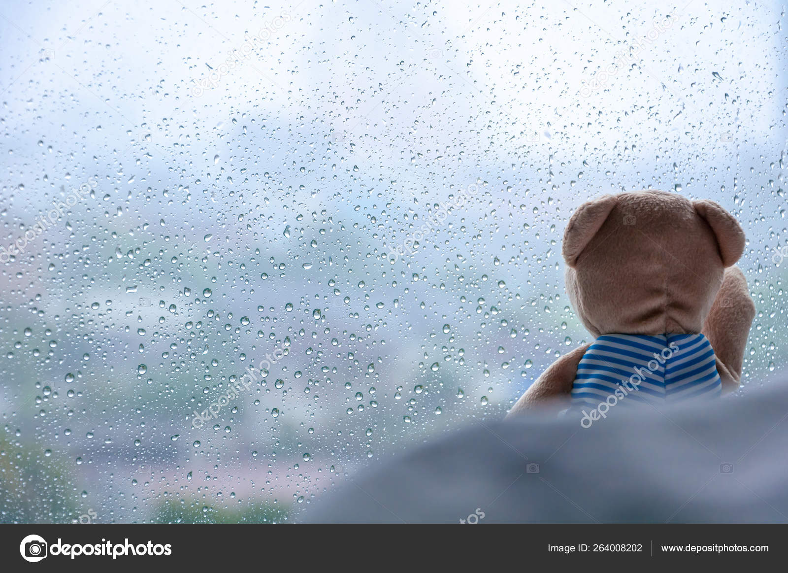 Lonely Teddy Bear In Rain