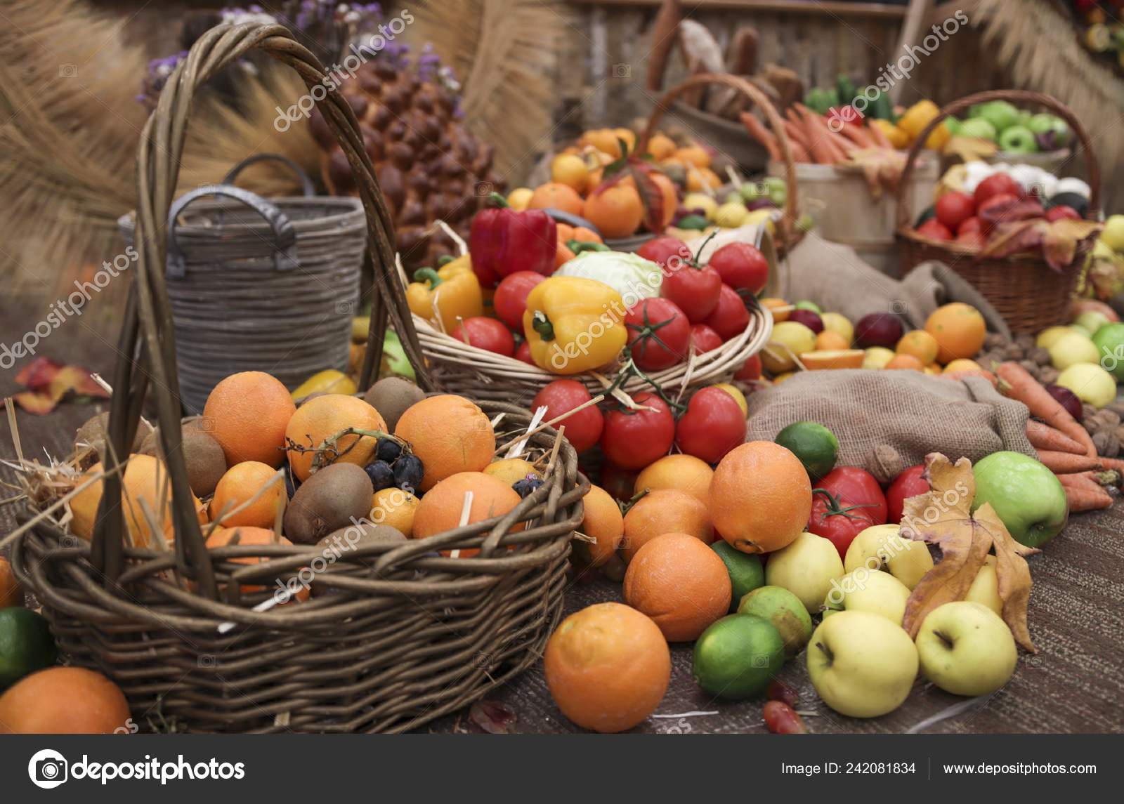 Collection Fall Fruits Vegetables Baskets Display Autumn Nature Concept ...