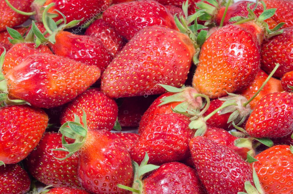 La fresa - las fresas rojas. Antecedentes, un grupo de grandes bayas de ...