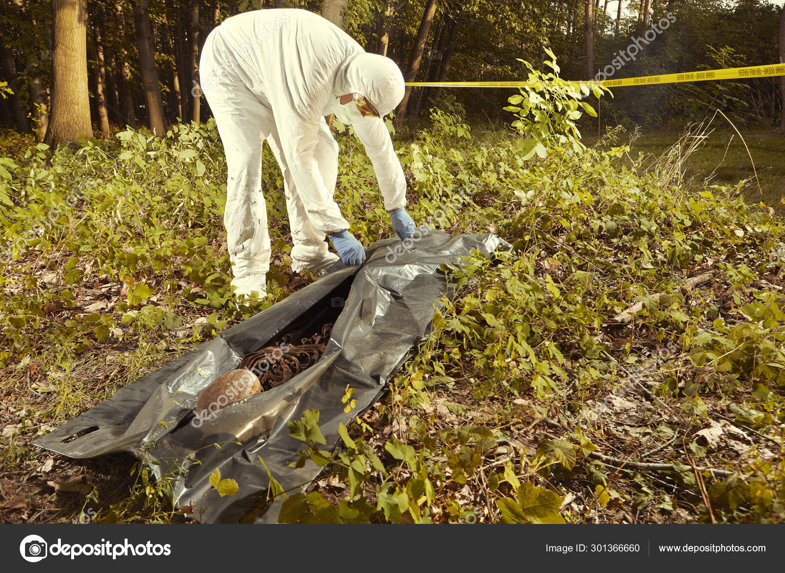 Collecting Human Remains Plastic Body Bag Police Technician Observing ...