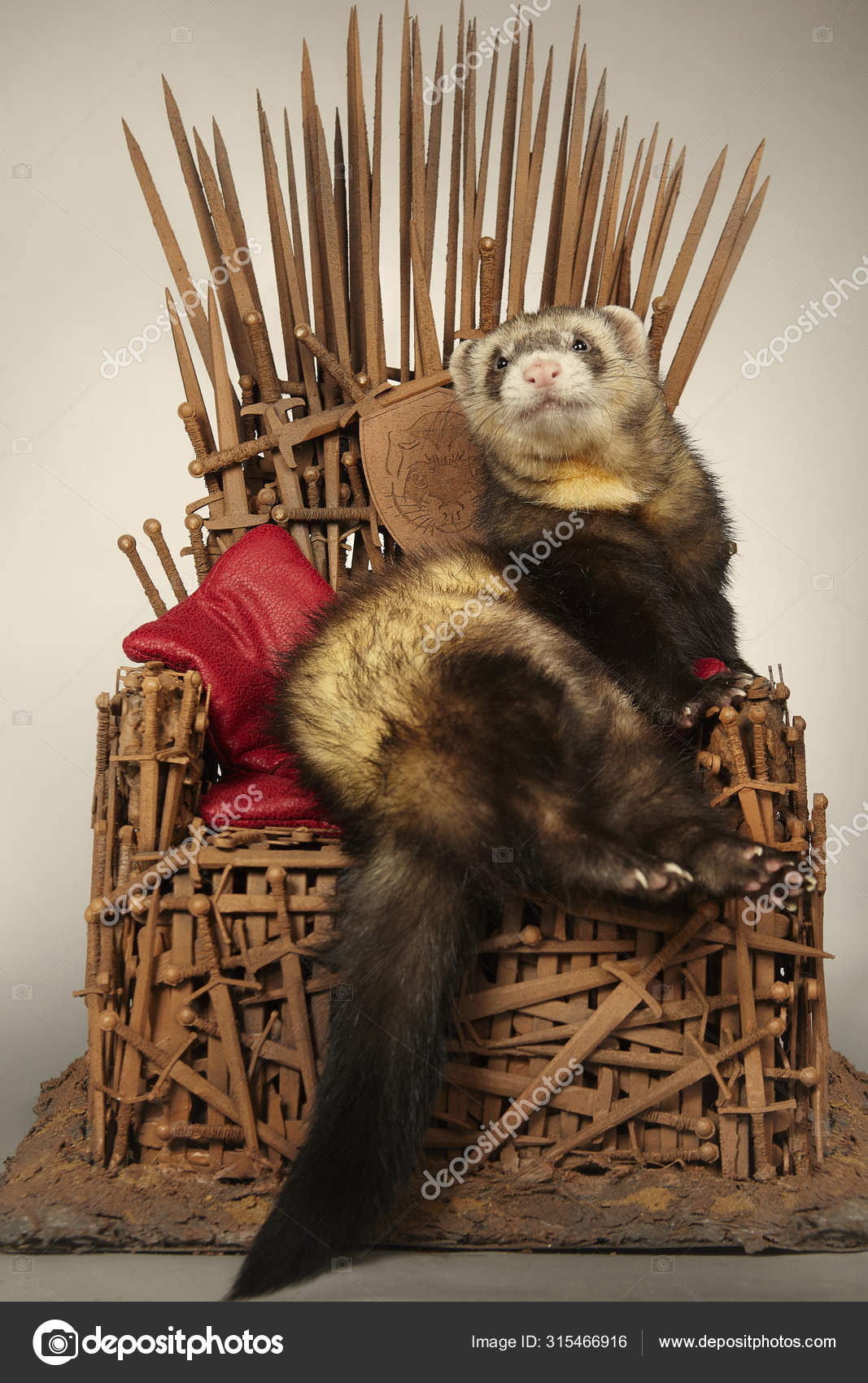 Ferret Model Stylish Chair Made Rusty Swords — Stock Photo ...