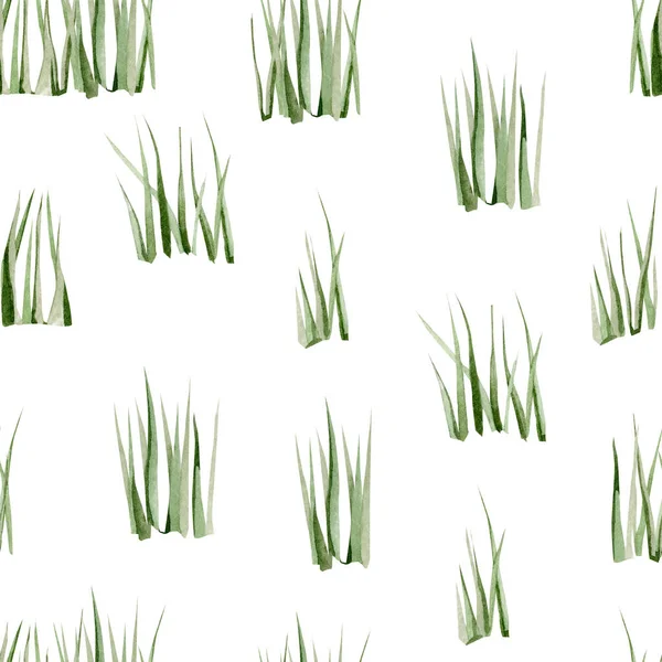 Watercolor grass Stock Photos, Royalty Free Watercolor grass Images ...