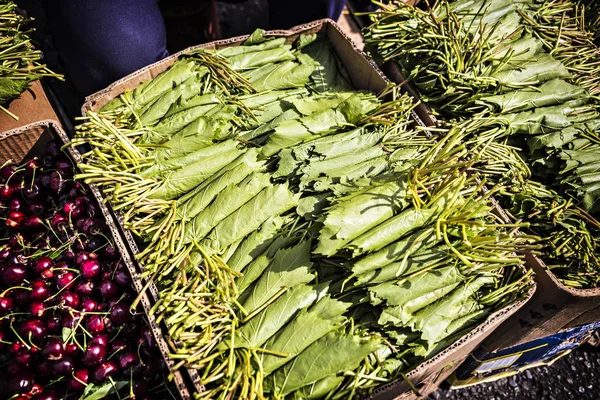 Boxes with fresh grape leaves on the market in Yerevan, Armenia. Grae ...