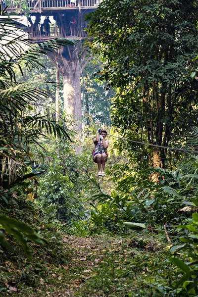 Rainforest canopy tour Stock Photos, Royalty Free Rainforest canopy ...