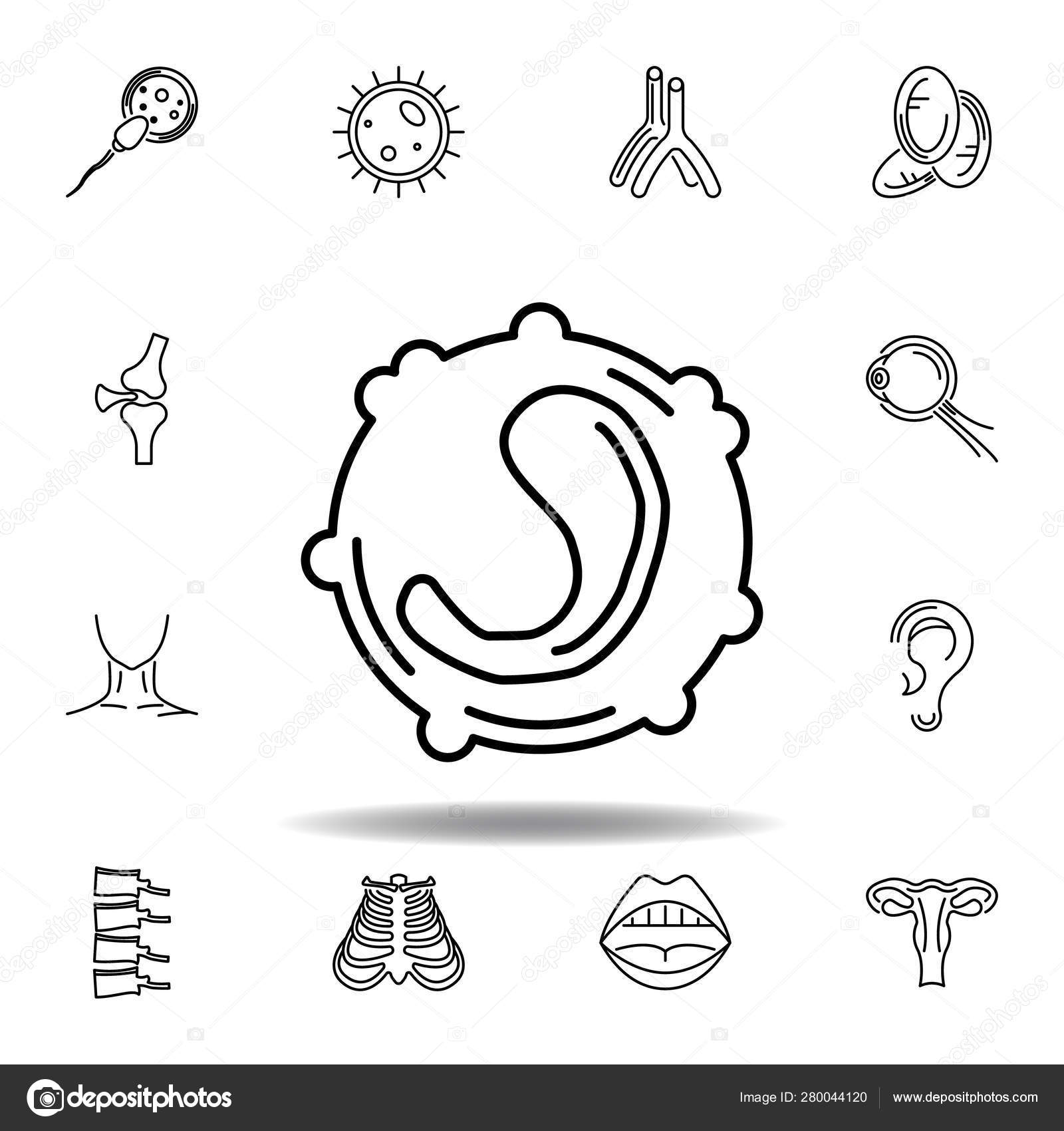 Blood Signs And Symbols