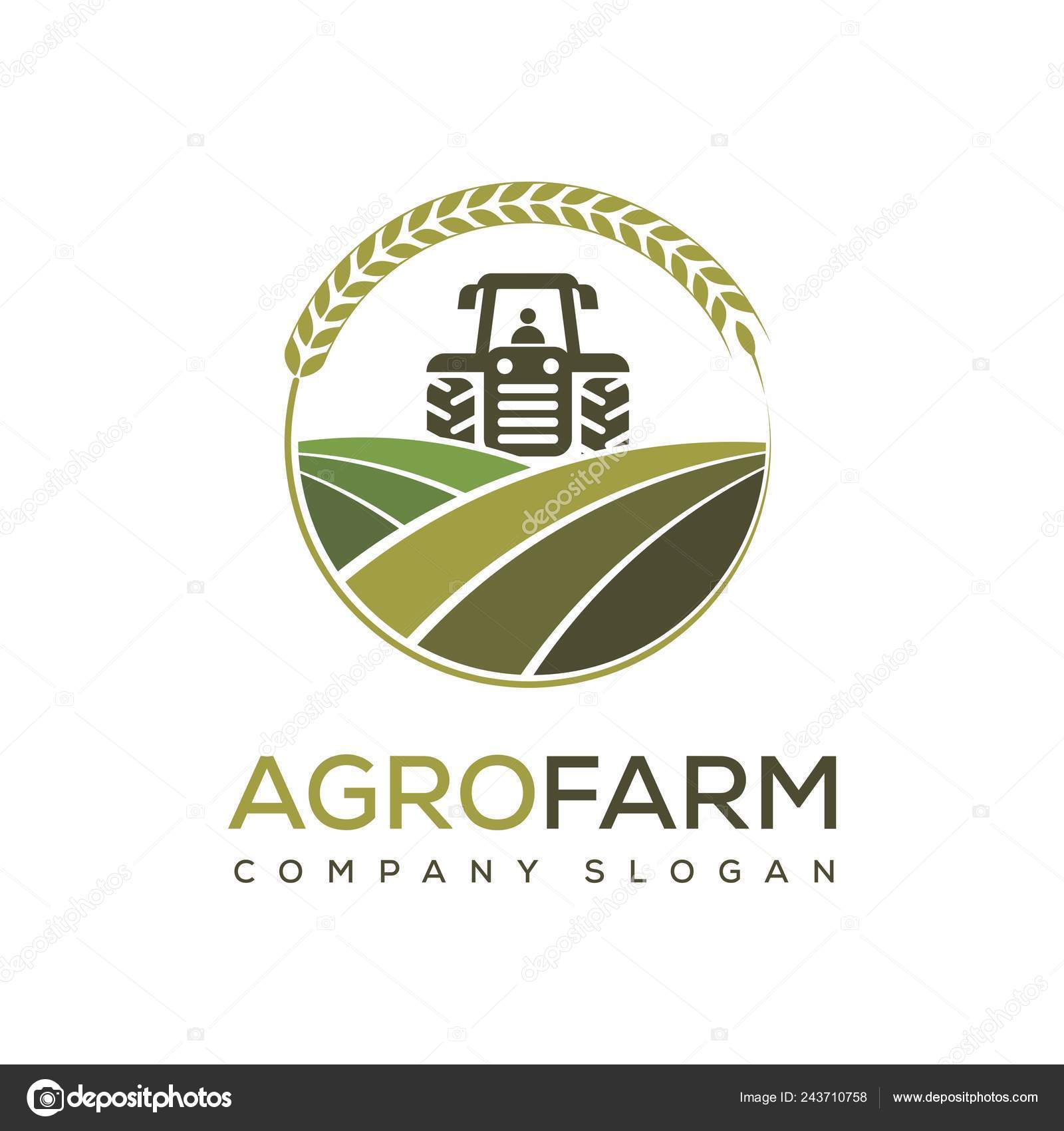 Modelo Design Logotipo Vetor Agropecuária Stock Vector by ©bayuj69 ...